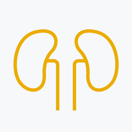 What should you expect from your type 2 diabetes treatment?