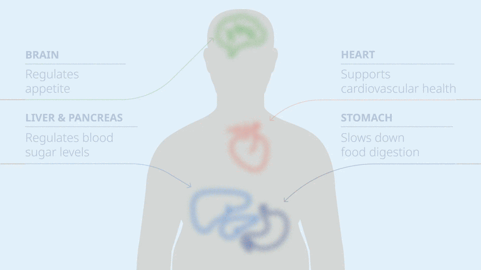 Understanding GLP-1 RA treatment